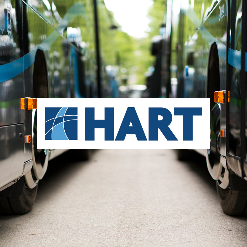 Case Studies - HCP Associates - Tampa Research, Strategy, and Marketing ...